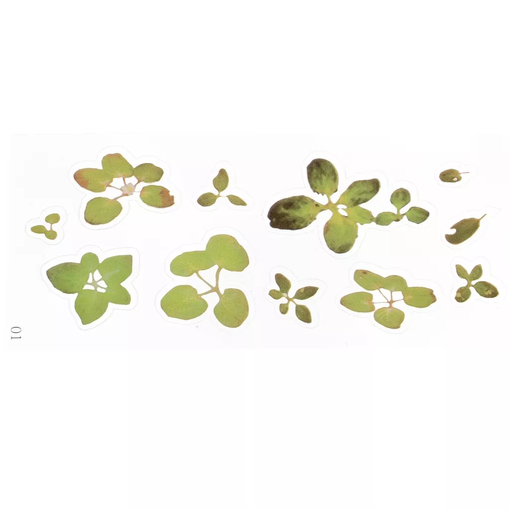 11 stickers autocollants effet 3D -Feuillages pour accessoires et ...