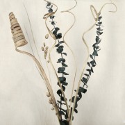 Gypsophile Jaune - fleur séchée pour création DIY x1 tige - Perles & Co