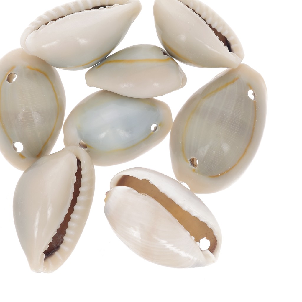 Assortiment de coquillages Cauri Naturel x 10 - Perles & Co