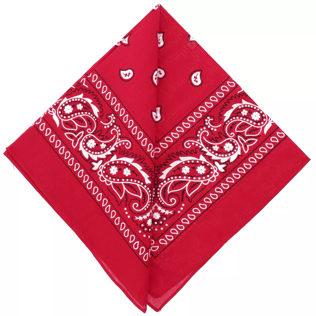 Bandana 100% coton - motif Cachemire - Rouge x1 - Perles & Co