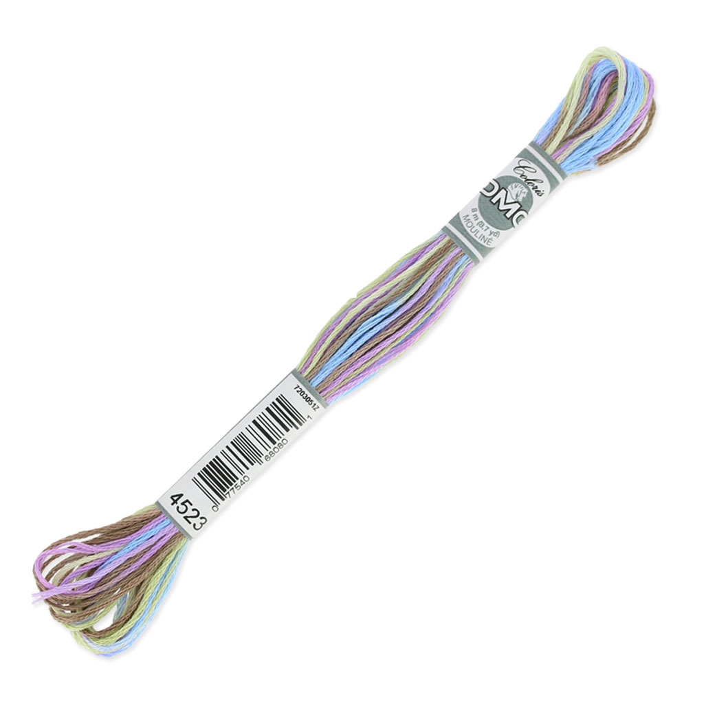 Fil à broder DMC Mouliné Coloris Multicolore Vent du nord (4523) x8m ...