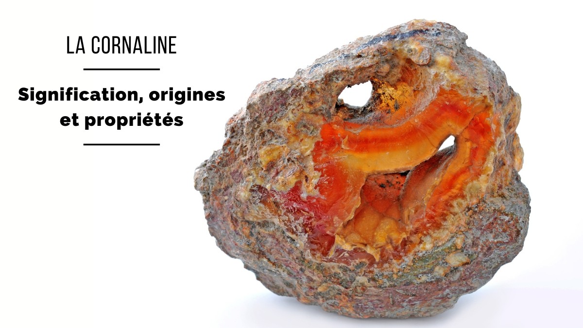 Cornaline - Signification, propriétés et vertus